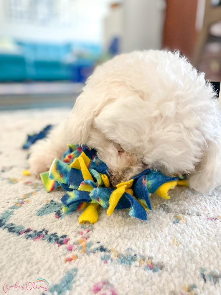 How to Make a DIY Snuffle Mat - Tails of Barkley
