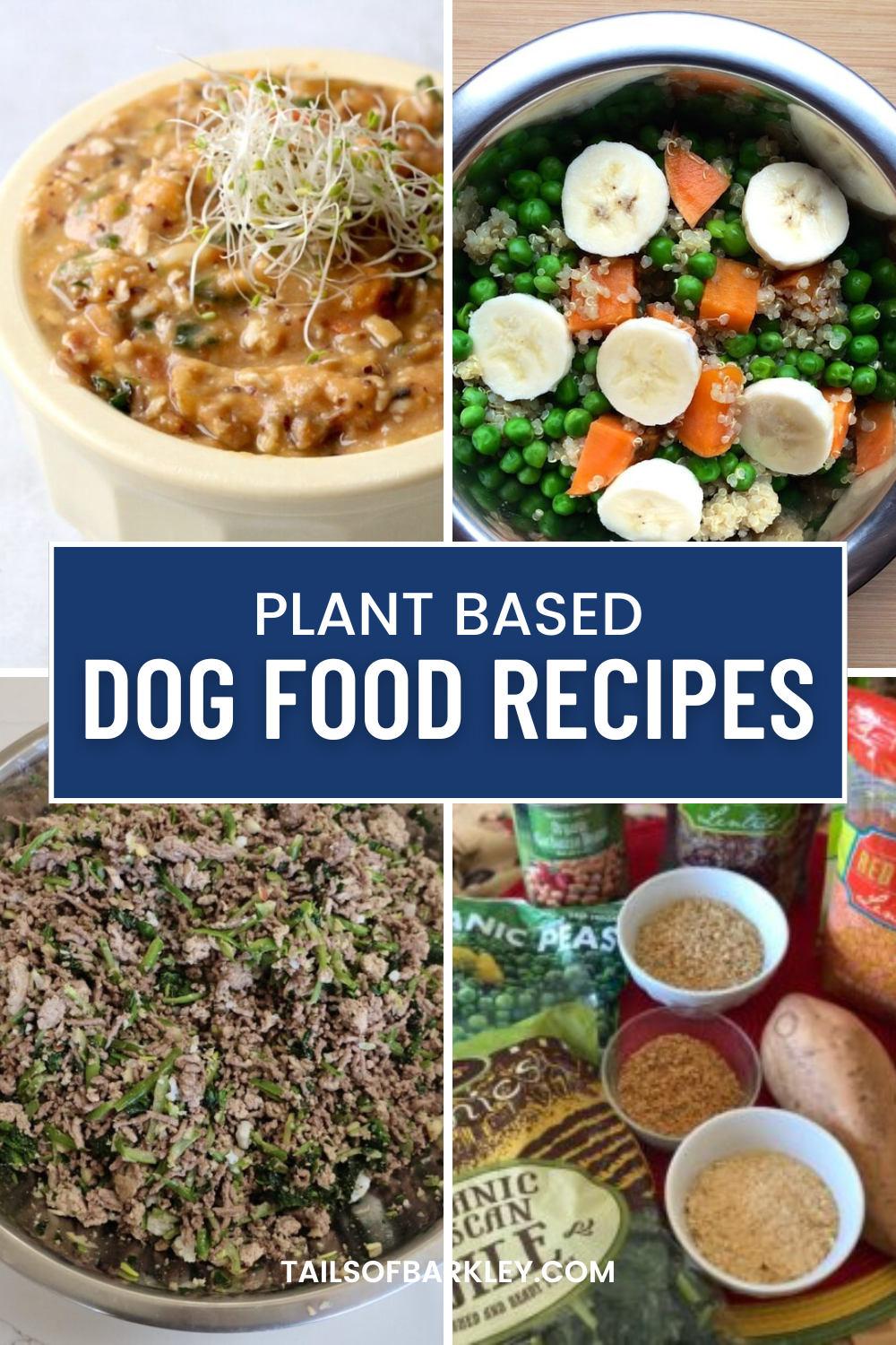 Plant Based Dog Food Recipes Your Pet Will Love! - Tails of Barkley