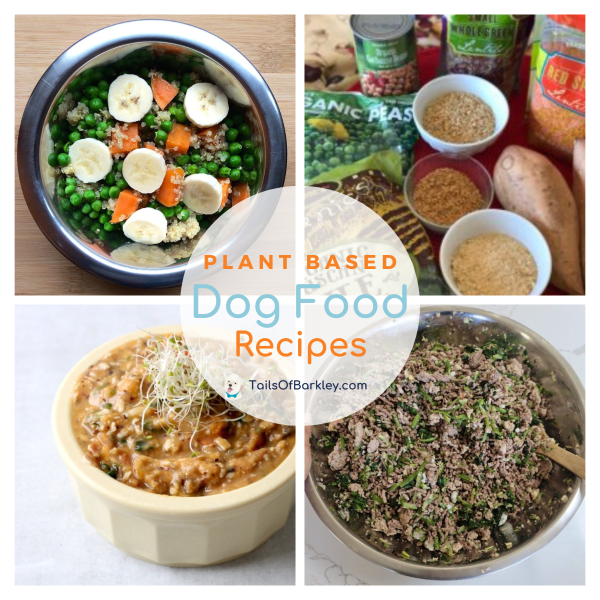 Plant Based Dog Food Recipes Your Pet Will Love! - Tails of Barkley
